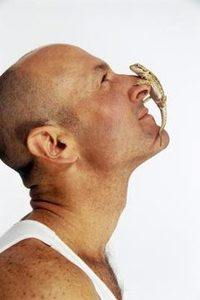 How to Easily Keep a Bearded Dragon Cage from Smelling - Reptile.Guide