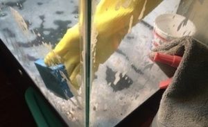 Bearded Dragon Throwing Up? 7 Reasons Why & How to Help!