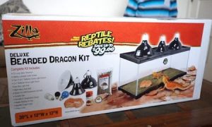 Bearded Dragon Starter Kit: Lifesaver or Complete Waste?!