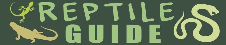 Reptile.Guide - Lizards, Snakes, Turtles, Frogs & More
