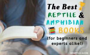 5 Best Books About Reptiles & Amphibians for Beginners & Experts Alike