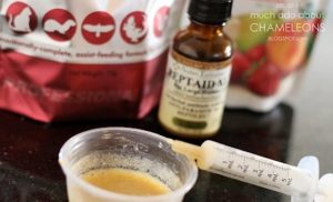 Reptaid Review: Does the Immune Support Live up to the Hype?