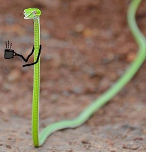 30 Hilarious Snakes With Drawn On Arms & Hands You Have to See