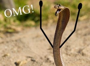 30 Hilarious Snakes With Drawn On Arms & Hands You Have to See