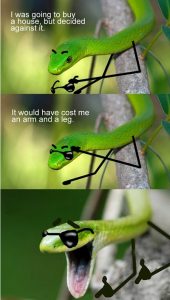 30 Hilarious Snakes With Drawn On Arms & Hands You Have to See