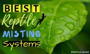 4 Best Reptile Misting Systems to Keep Your Pet Happy & Healthy