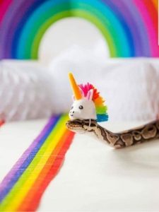 20 Hysterical Snakes With Hats You Won't Want to Miss