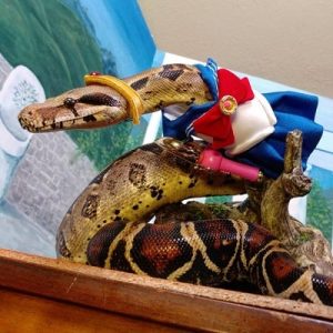 20 Hysterical Snakes With Hats You Won't Want to Miss