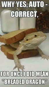 11 Must-See Bearded Dragon Memes That'll Brighten Your Day!