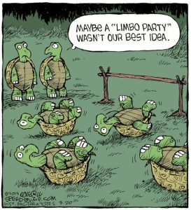 30+ Hilarious Turtle Memes That Will Make Your Day Brighter!