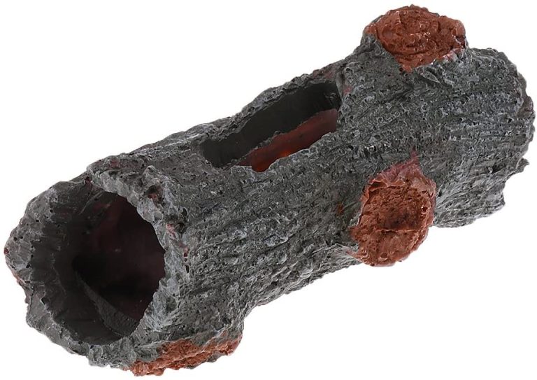 12 Best Leopard Gecko Hides to Purchase! (An Expert's Guide)