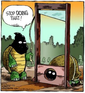 30+ Hilarious Turtle Memes That Will Make Your Day Brighter!