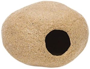 12 Best Leopard Gecko Hides to Purchase! (An Expert's Guide)