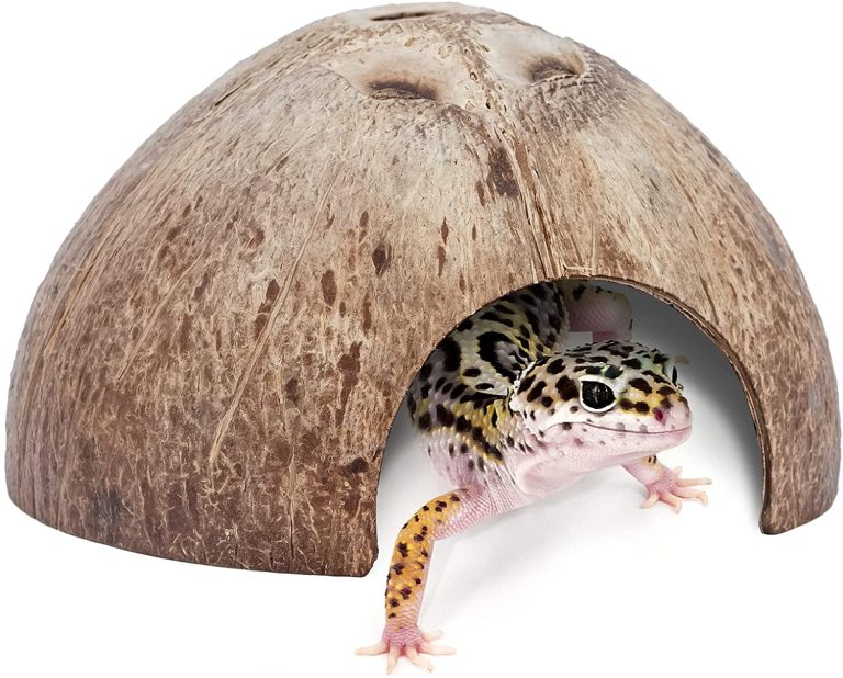 12 Best Leopard Gecko Hides to Purchase! (An Expert's Guide)