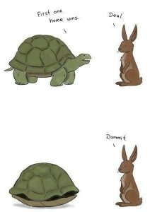 30+ Hilarious Turtle Memes That Will Make Your Day Brighter!