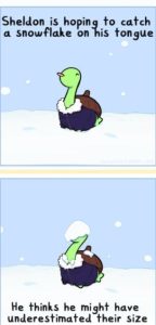 30+ Hilarious Turtle Memes That Will Make Your Day Brighter!