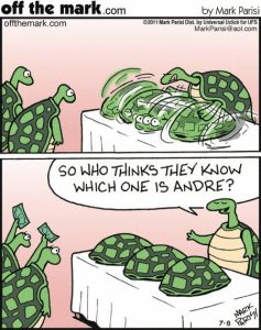 30+ Hilarious Turtle Memes That Will Make Your Day Brighter!
